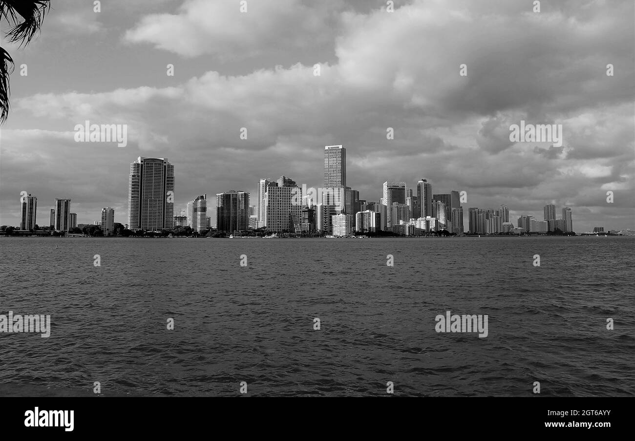 Downtown miami city skyline Black and White Stock Photos & Images - Alamy