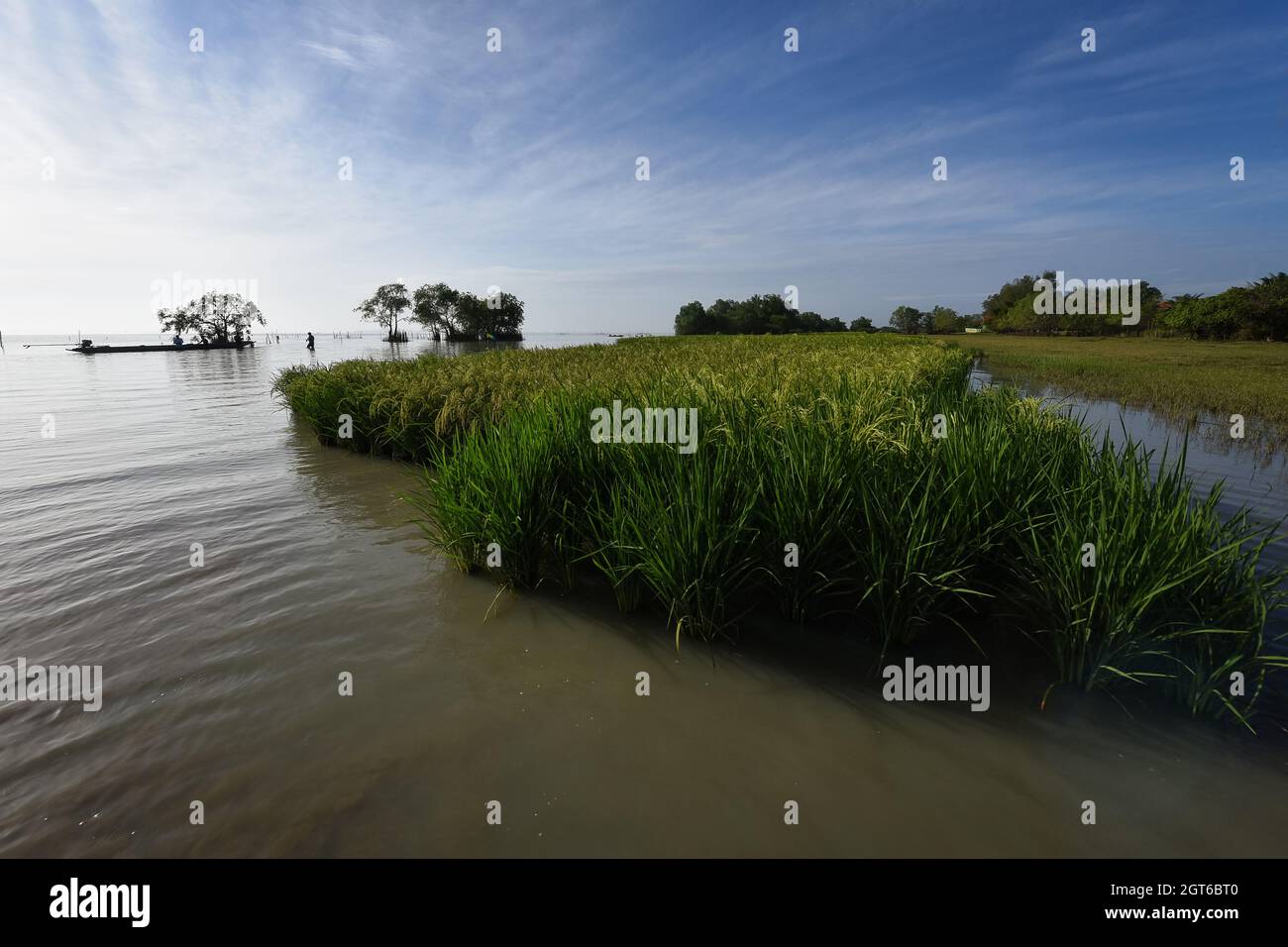 Pak pra hi-res stock photography and images - Alamy