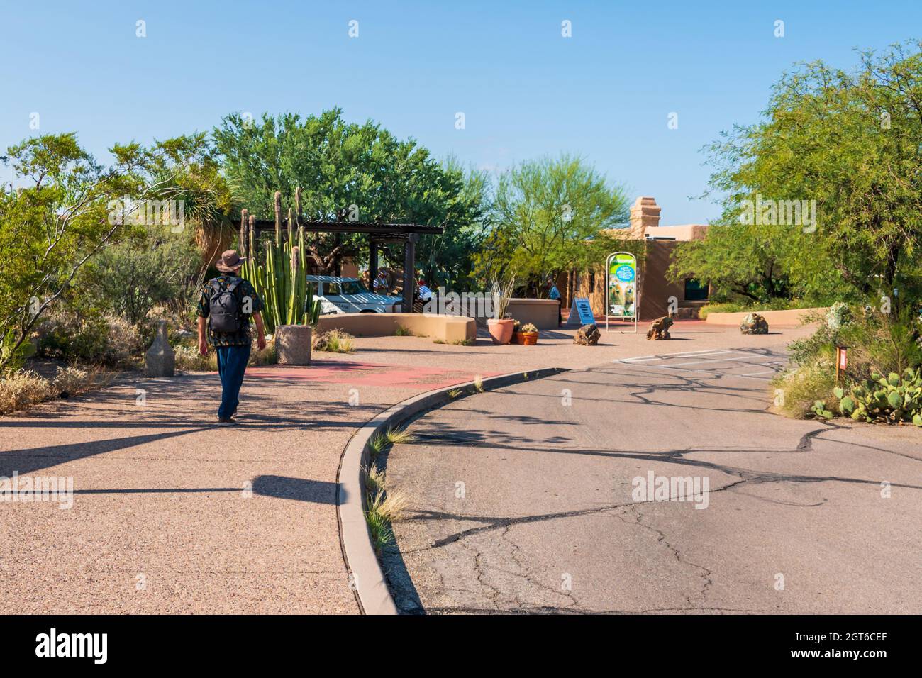 Visitor walks up to Arizona-Sonora Desert Museum Stock Photo - Alamy