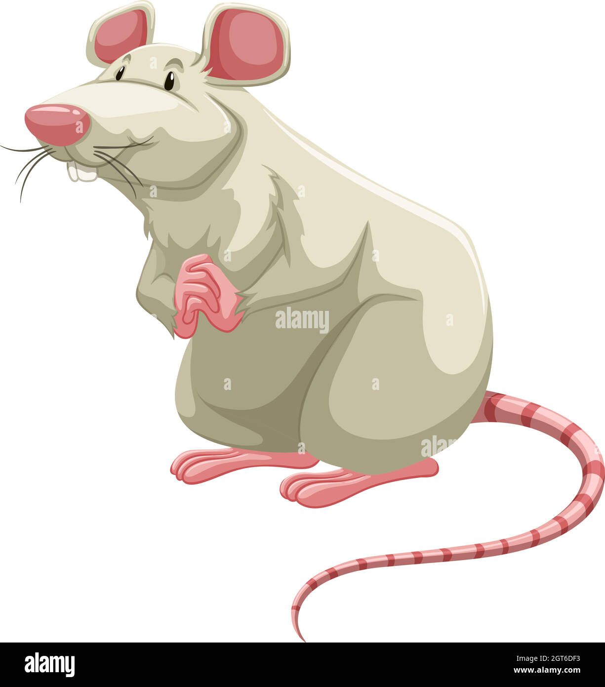 White rat standing on Stock Vector Images - Alamy