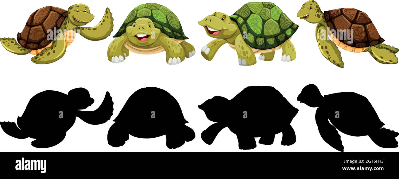 Set of turtle character Stock Vector Image & Art - Alamy