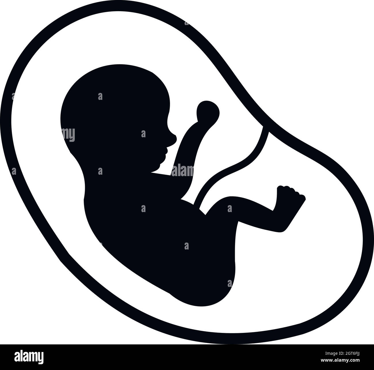 Fetus placenta hi-res stock photography and images - Alamy