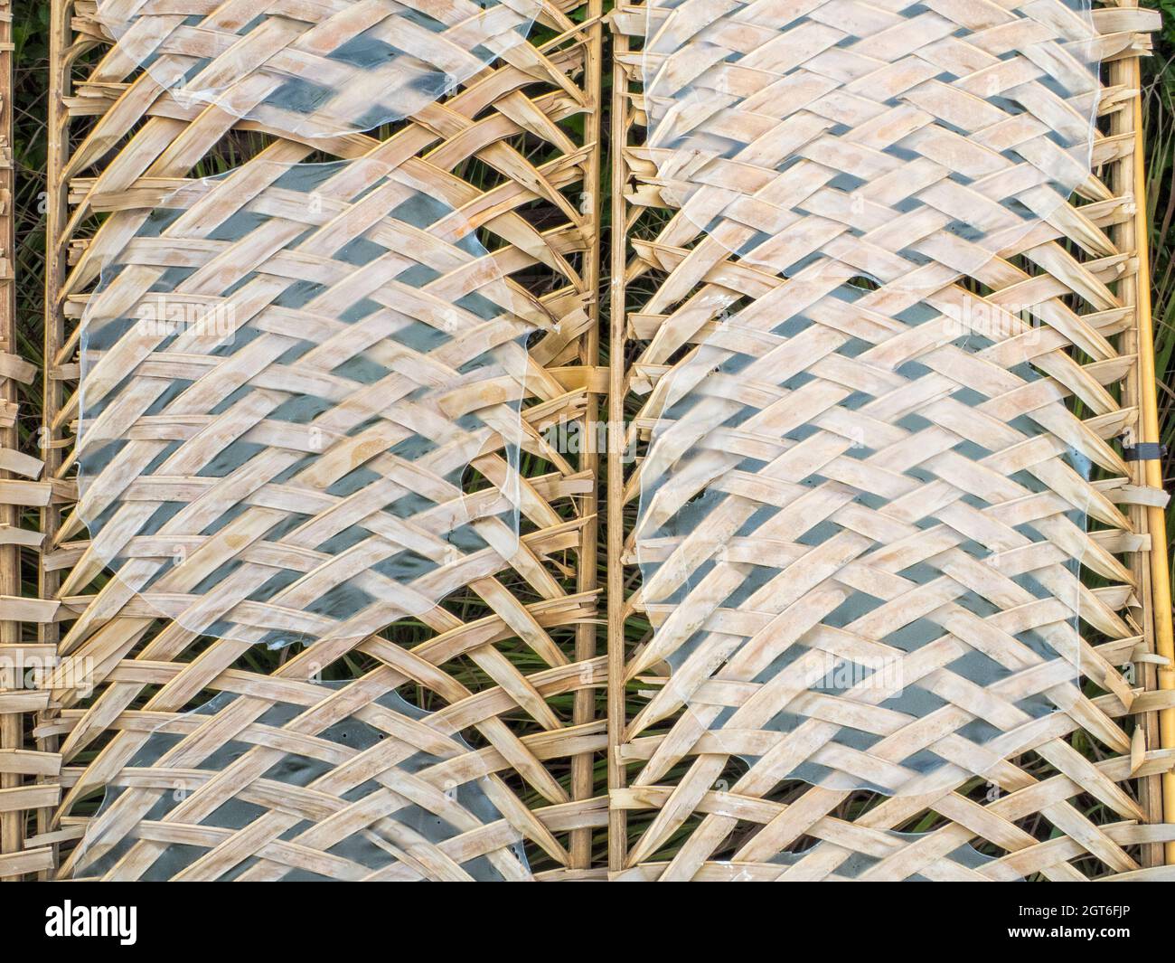 Rice paper drying in the sun on bamboo racks - Can Tho, Vietnam Stock ...