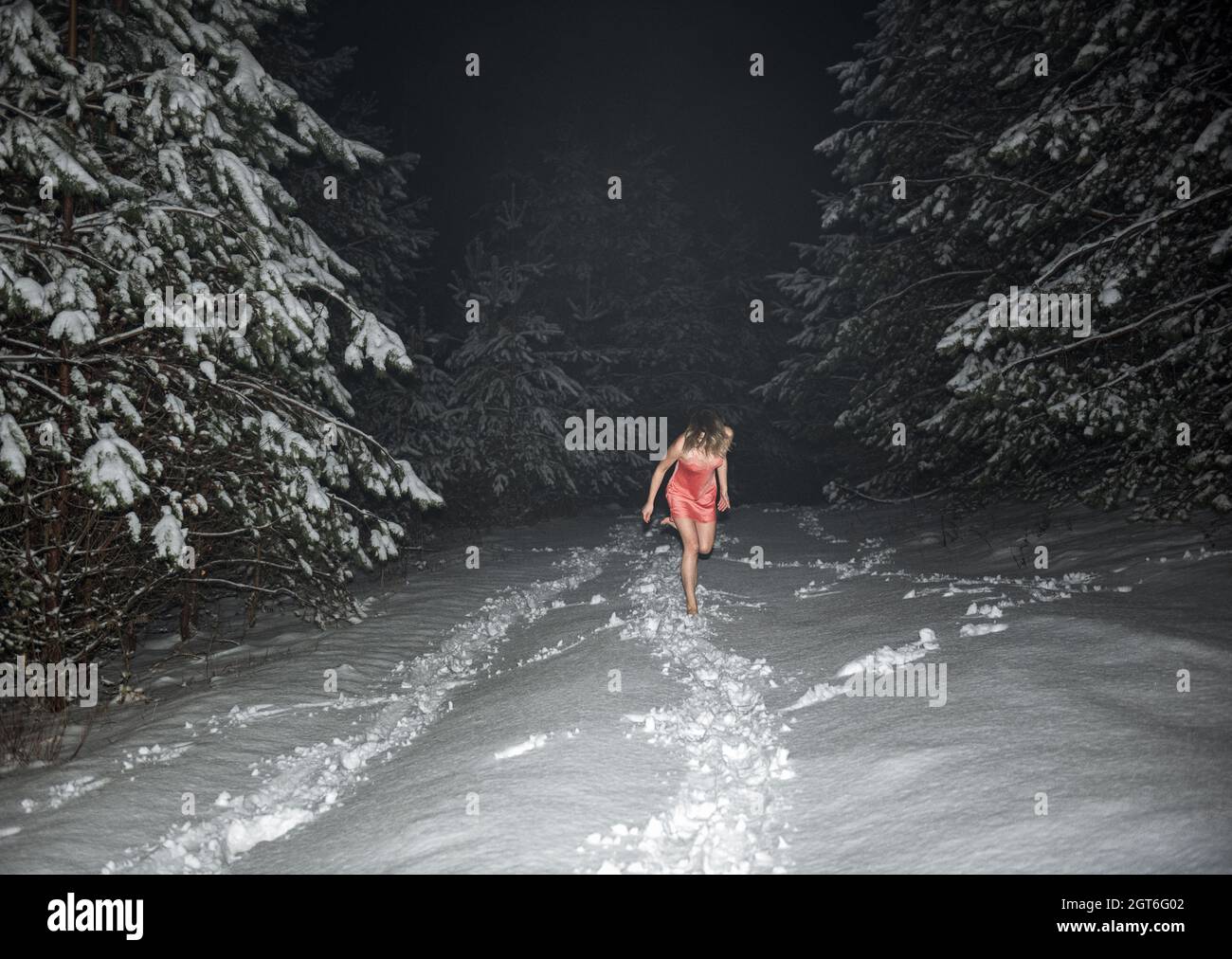 People walking in woods at night hi-res stock photography and images ...