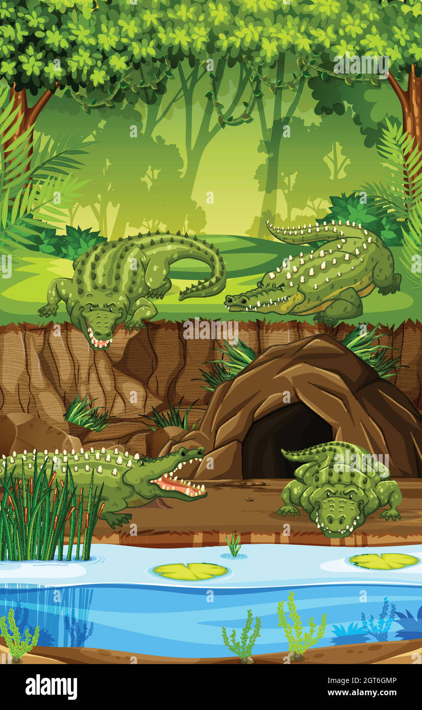 Swamp With Alligator Clipart