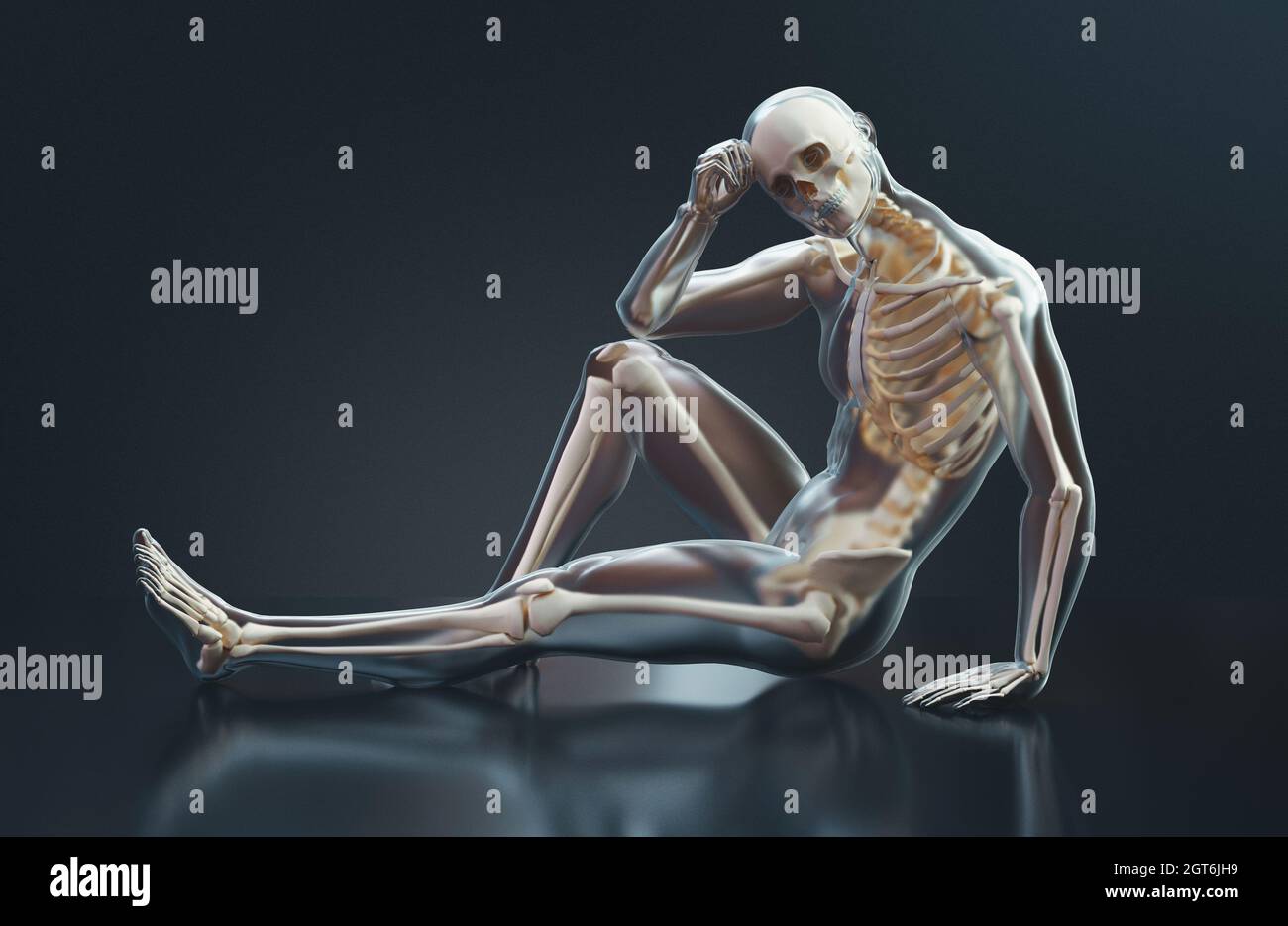 Human skeleton sitting hi-res stock photography and images - Alamy