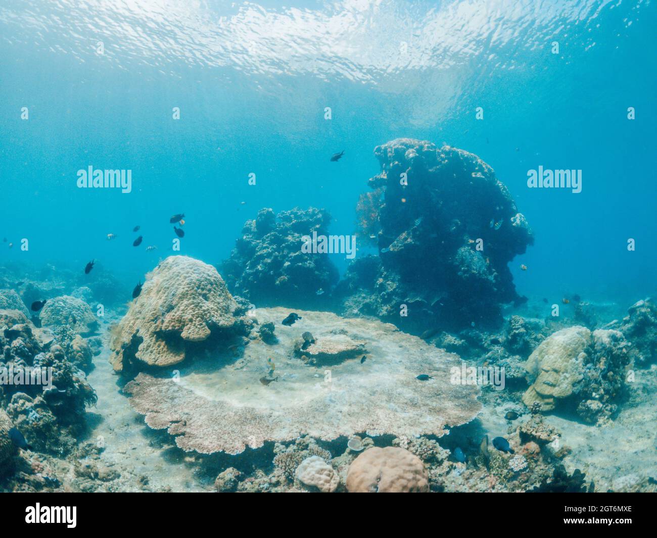 Lipah bali hi-res stock photography and images - Alamy