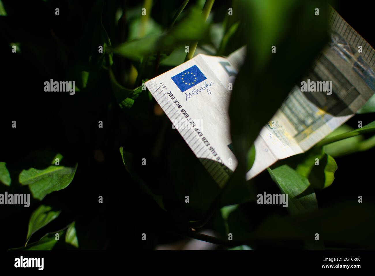 Green euro flag hi-res stock photography and images - Alamy