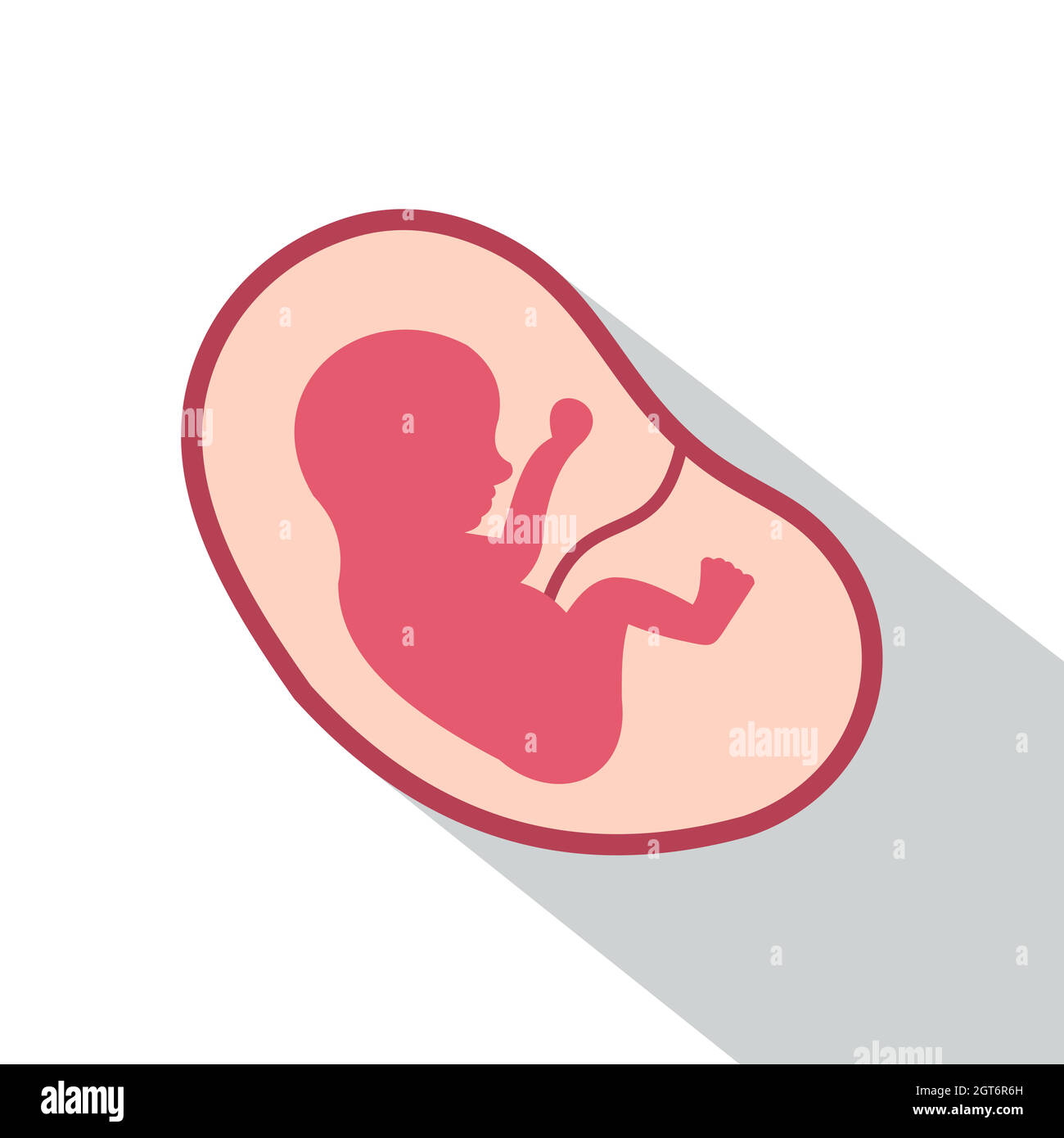 Baby In Utero Drawing