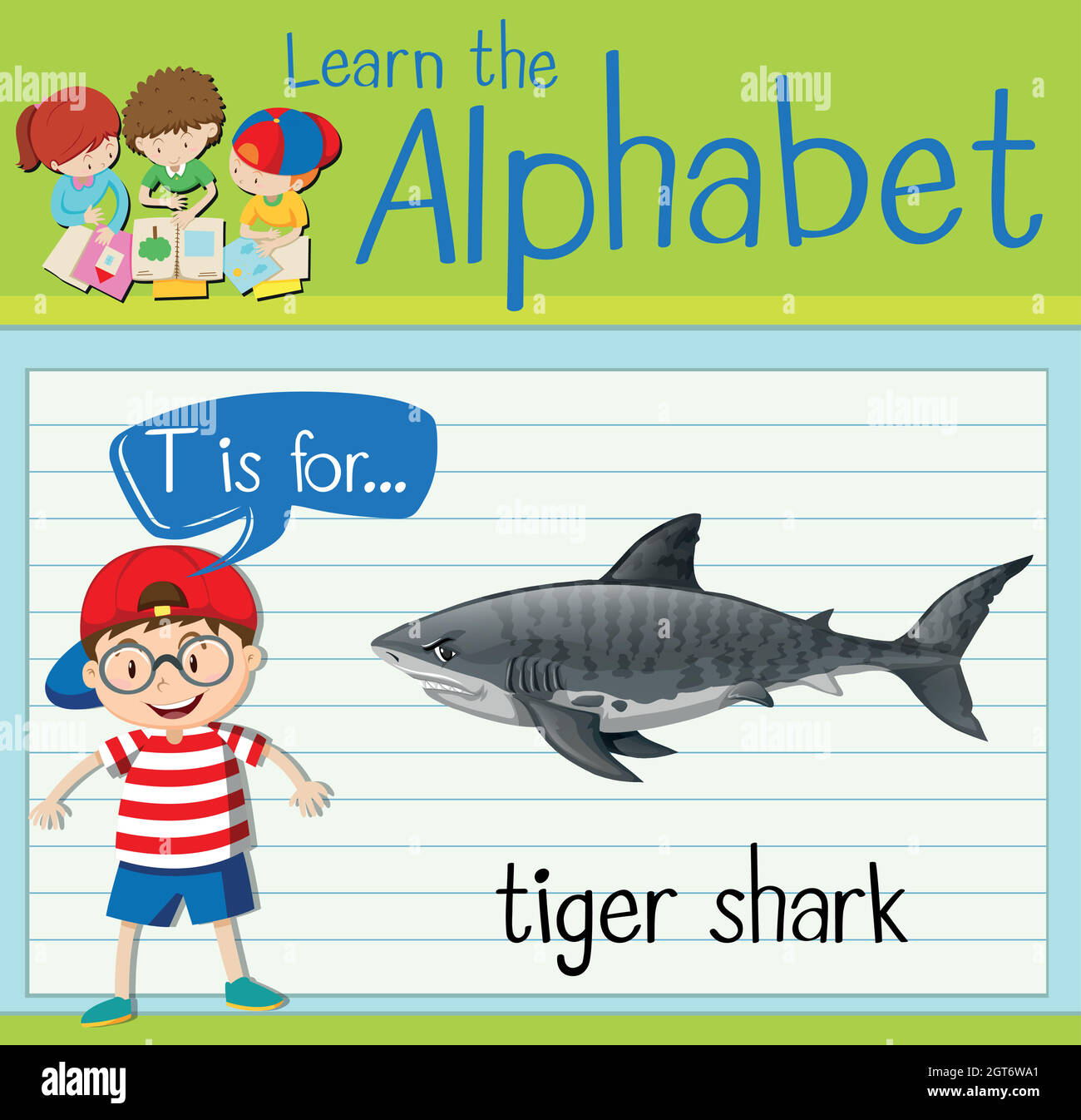 Flashcard letter T is for tiger shark Stock Vector Image & Art - Alamy
