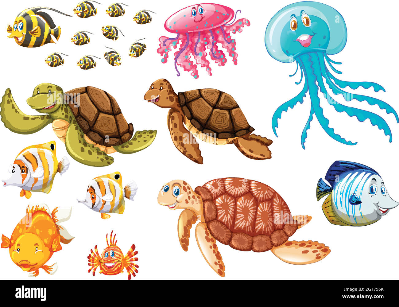 Exotic sea animals hi-res stock photography and images - Alamy