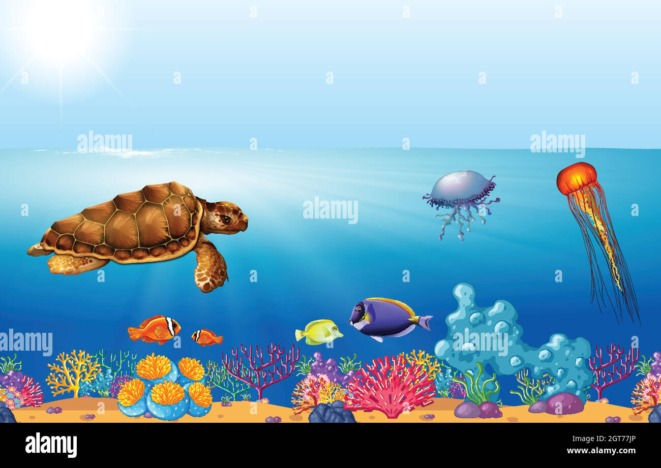 Sea animals swimming under the ocean Stock Vector Image & Art - Alamy