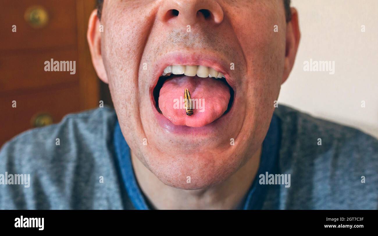 Human eating insect hi-res stock photography and images - Alamy