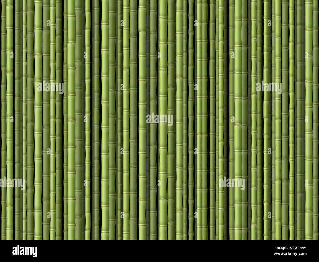 Green bamboo stick pattern background. Vector illustration Stock Photo ...