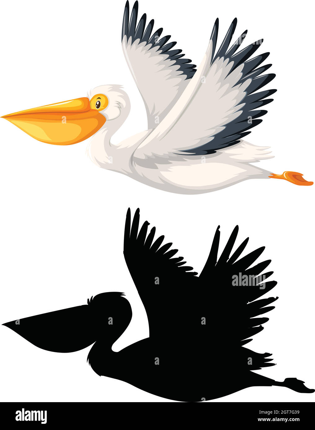 Pelican Stock Vector Images - Alamy