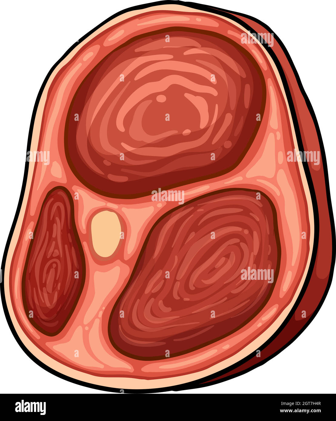Lean meat isolated Stock Vector Images - Alamy
