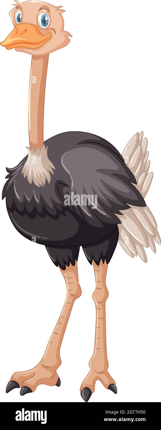 Clip Art Ostrich