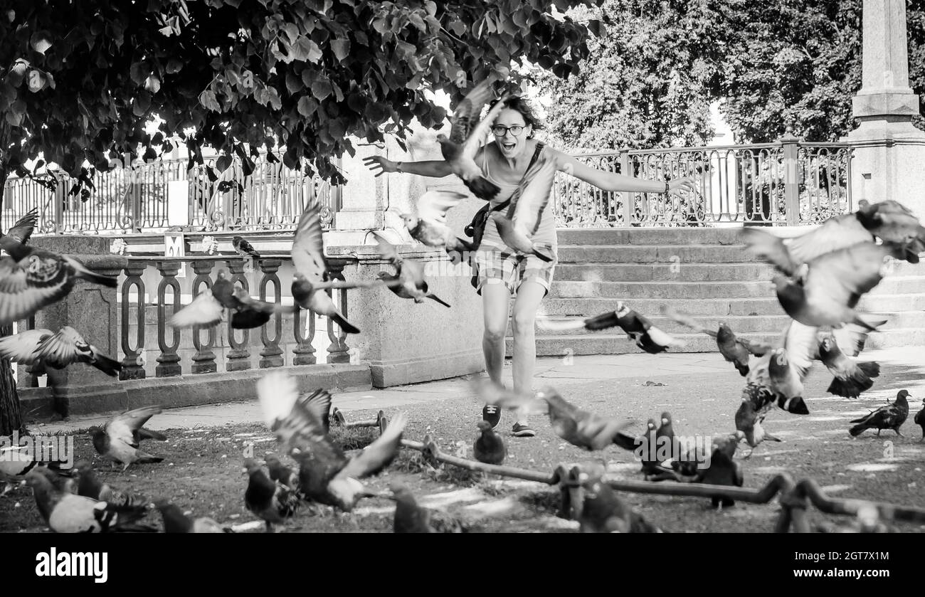 Pigeons Street Light Animal Wildlife High Resolution Stock Photography ...