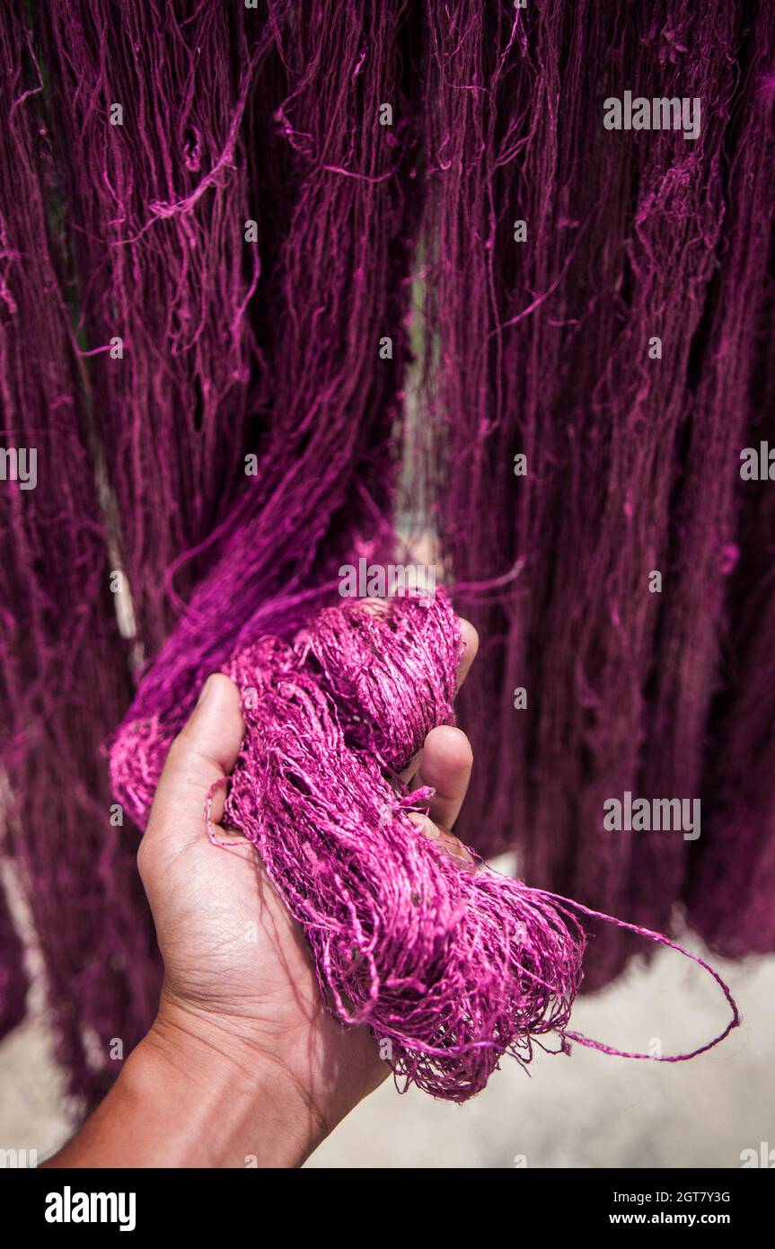Silkworm production thailand hi-res stock photography and images - Alamy