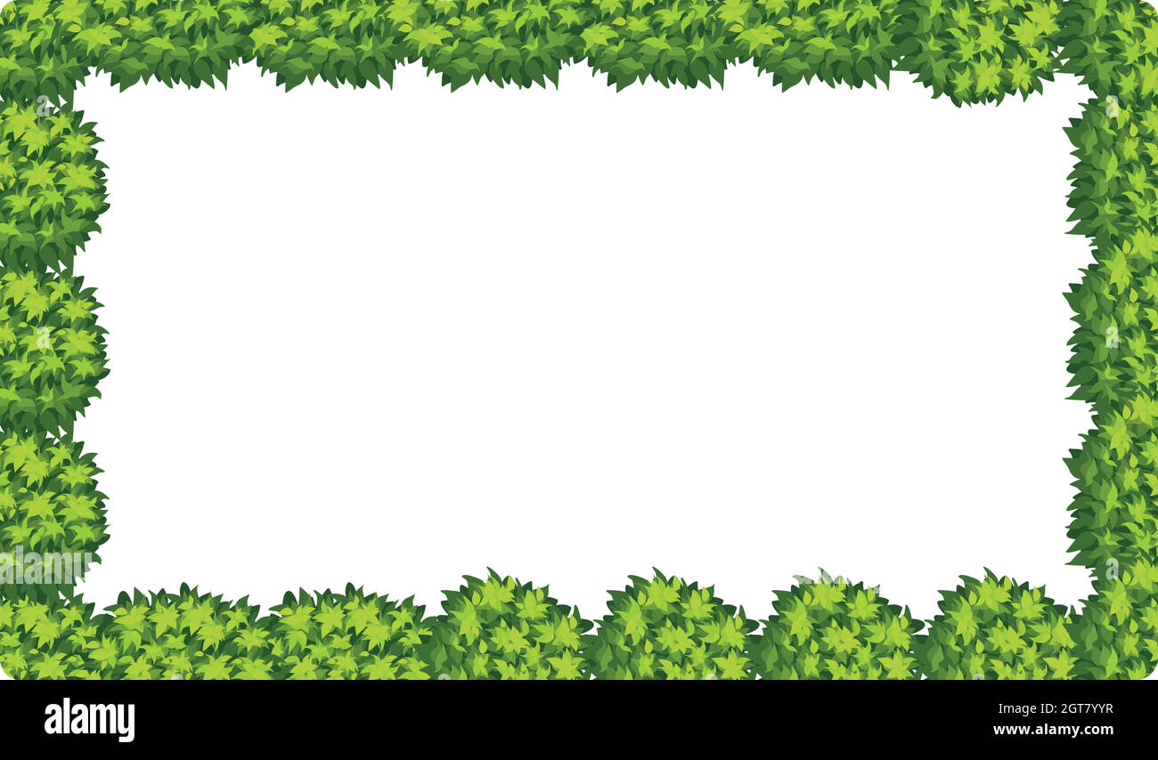 Natural leaf border scene Stock Vector Image & Art - Alamy