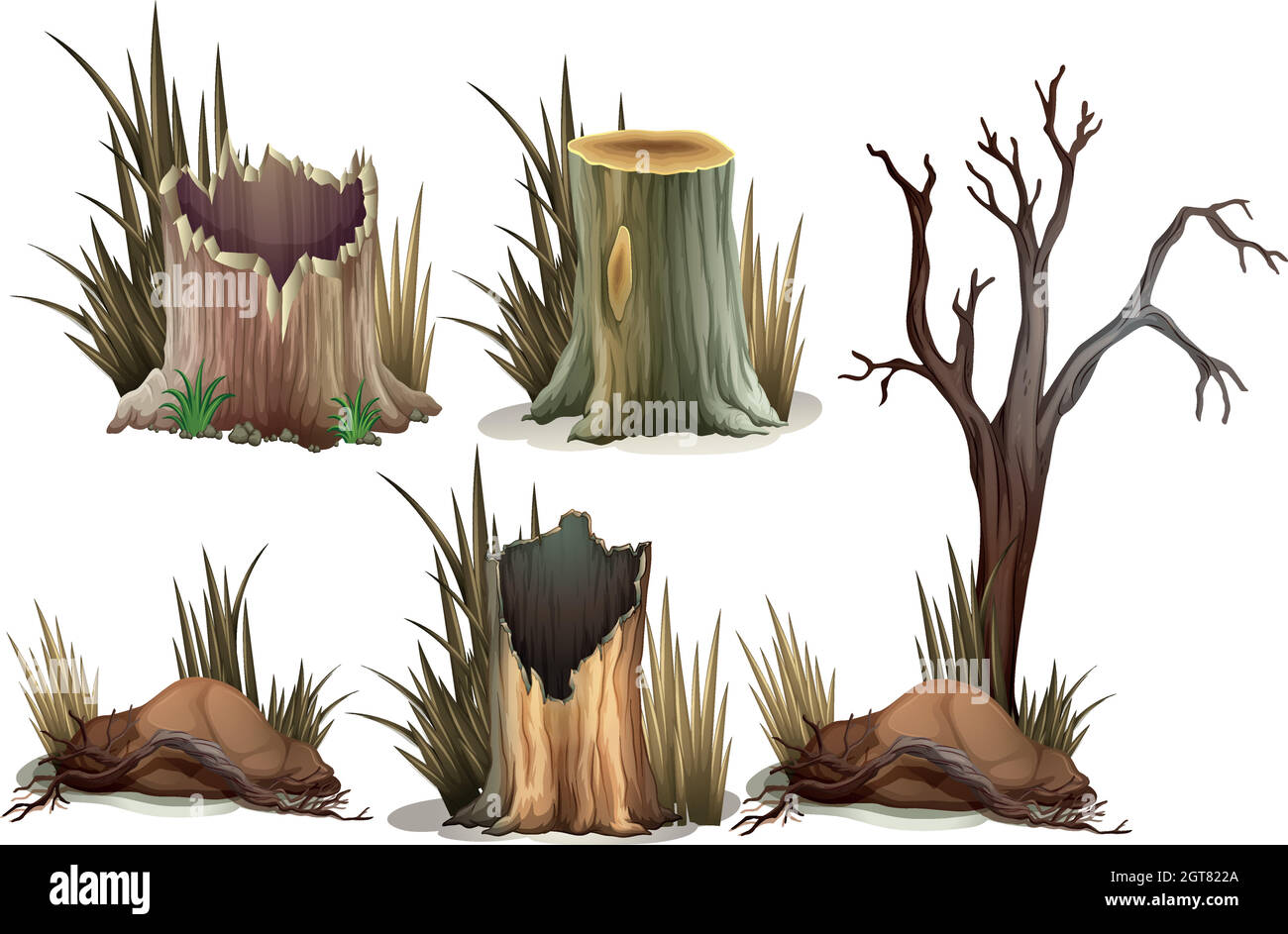 Different type tree trunk Stock Vector Images - Alamy