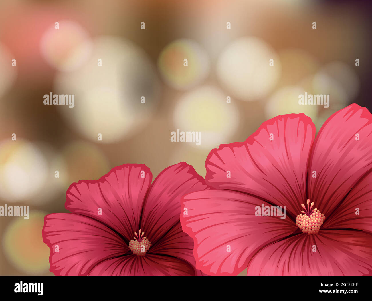 Natural flora flowers on Stock Vector Images - Alamy
