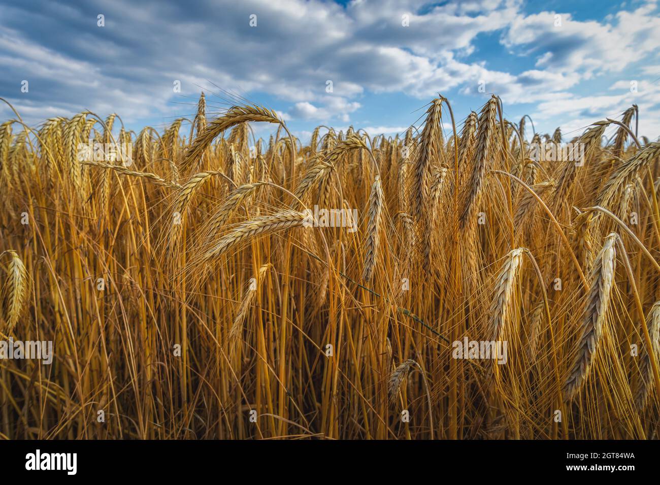 Yust hi-res stock photography and images - Alamy