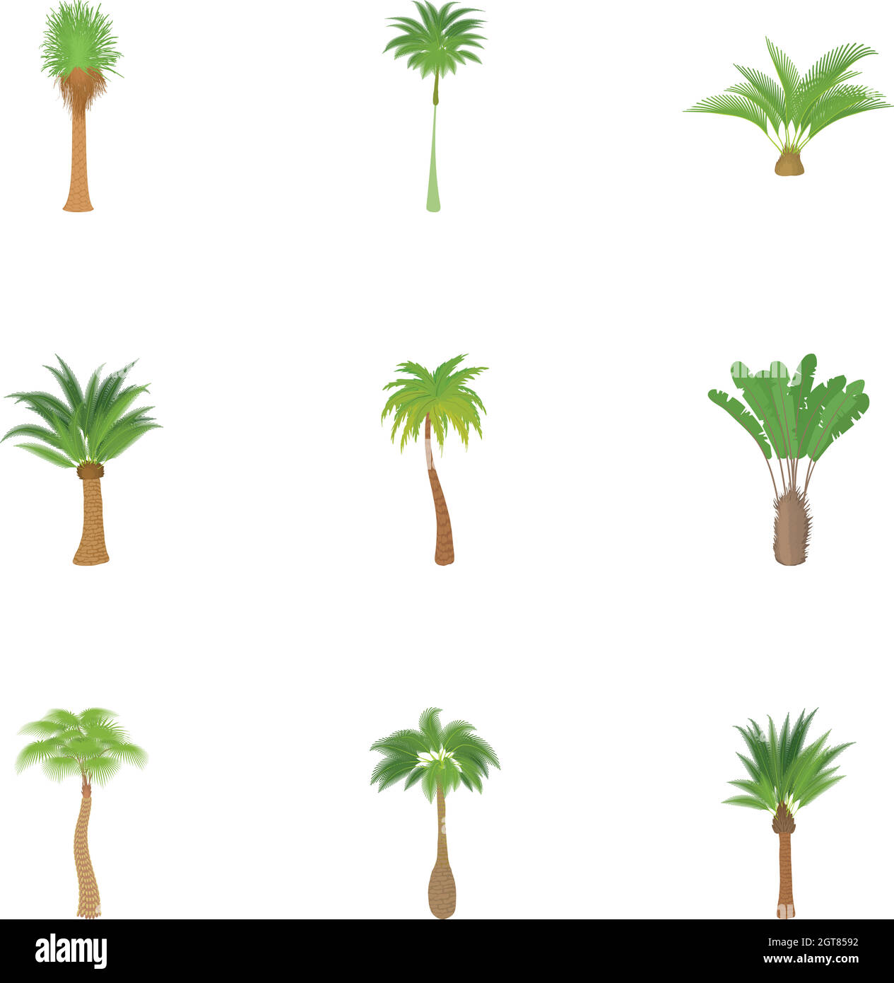 Types of palm icons set, cartoon style Stock Vector Image & Art - Alamy