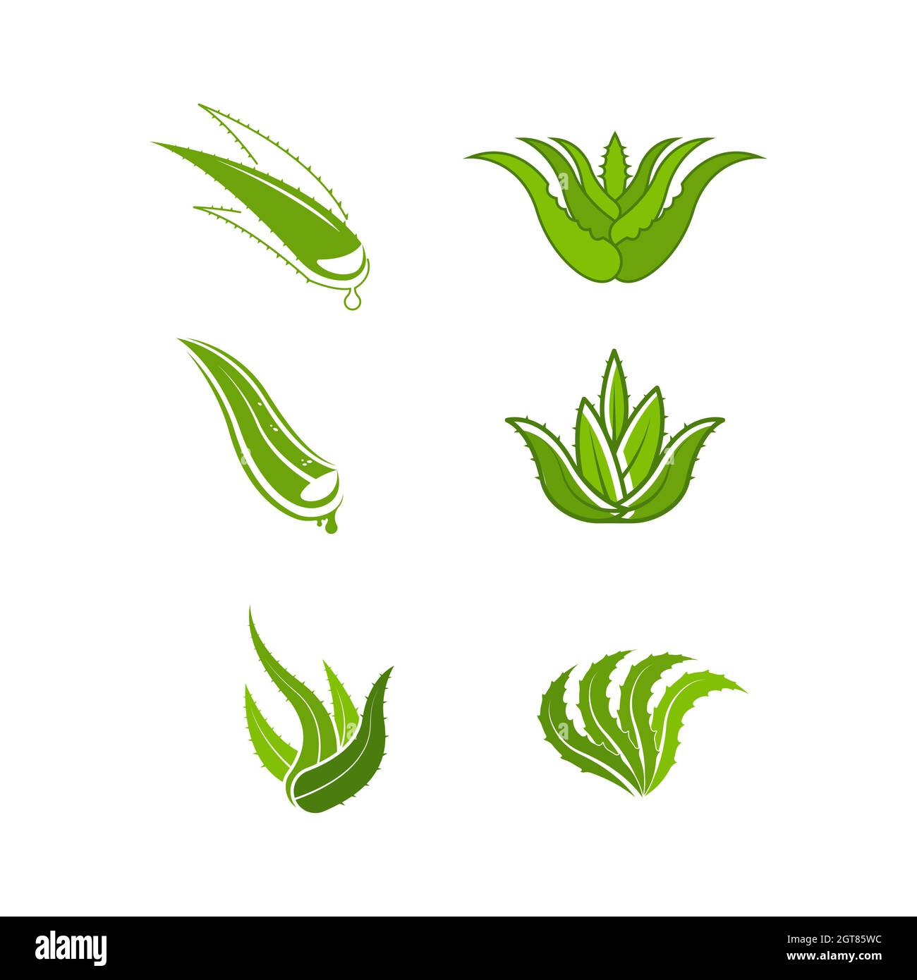 Aloe vera logo hi-res stock photography and images - Alamy