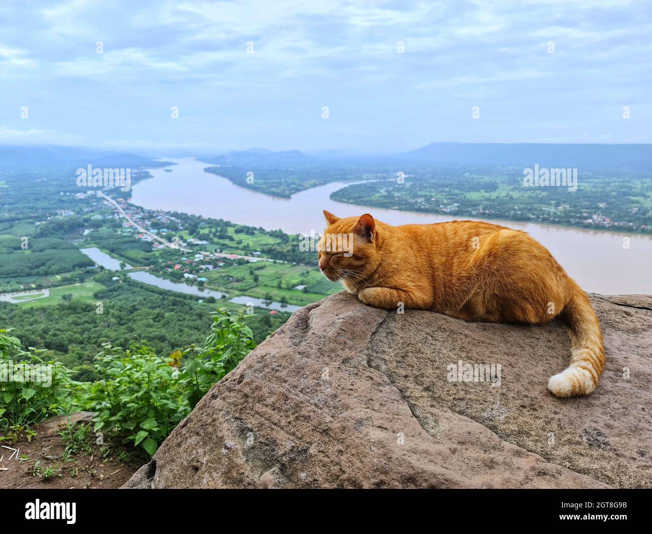 Phu cat hi-res stock photography and images - Alamy