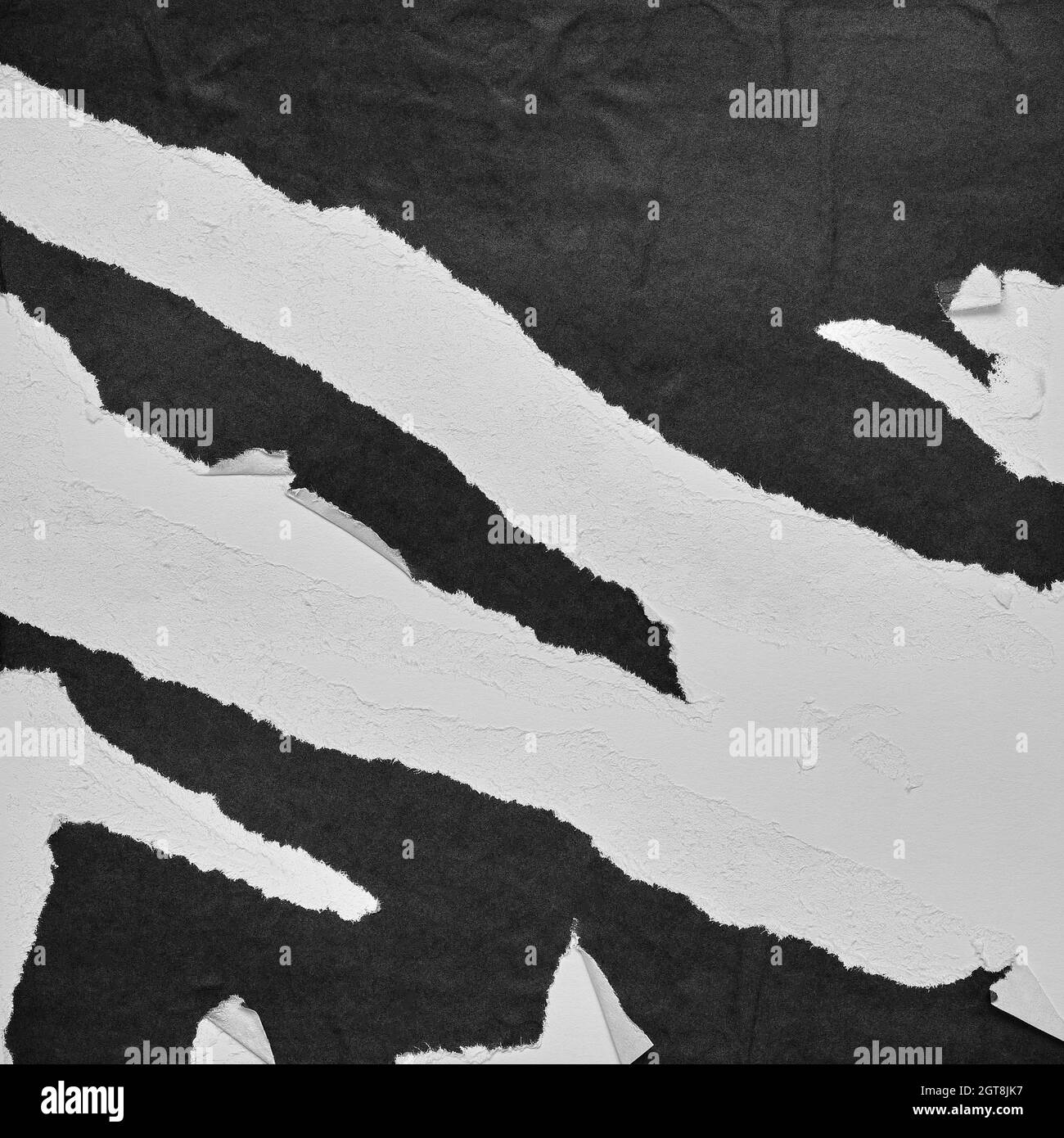 Torn Black And White Background