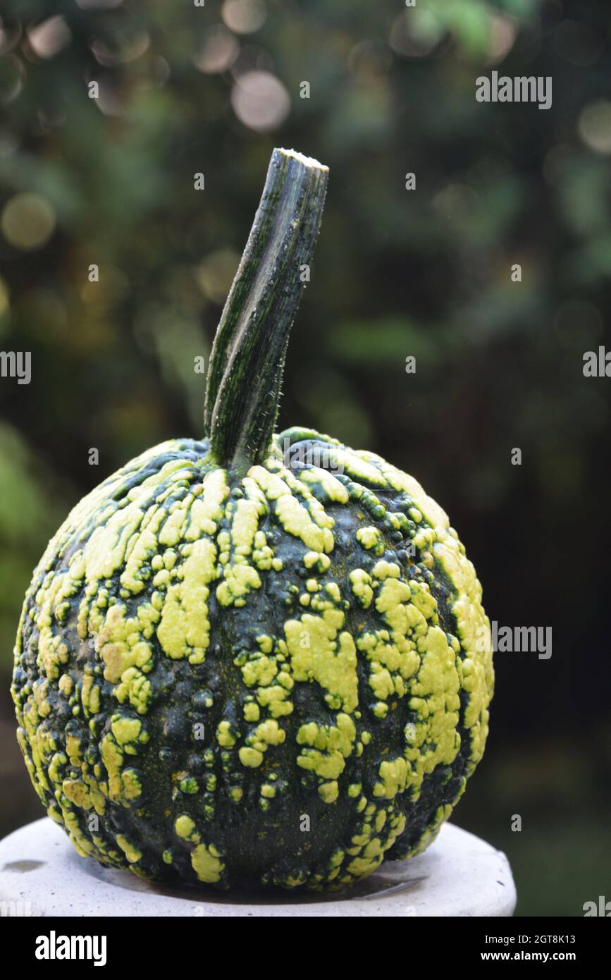 Bumpy sphere hi-res stock photography and images - Alamy