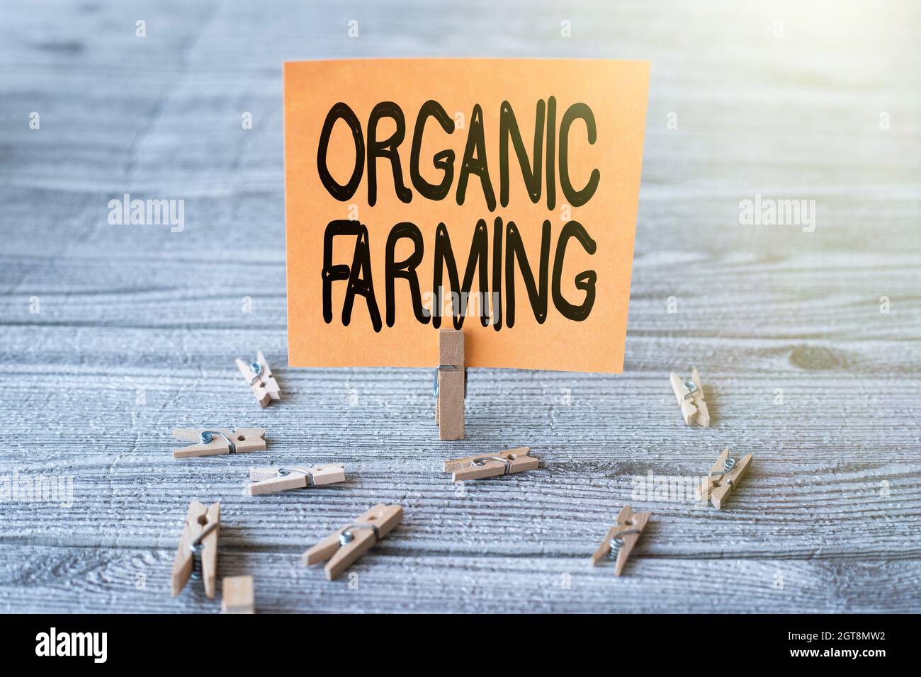 Text sign showing Organic Farming. Word Written on an integrated ...