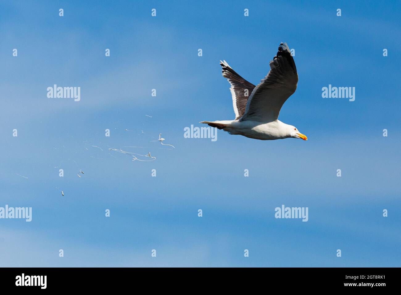 River of feces hi-res stock photography and images - Alamy