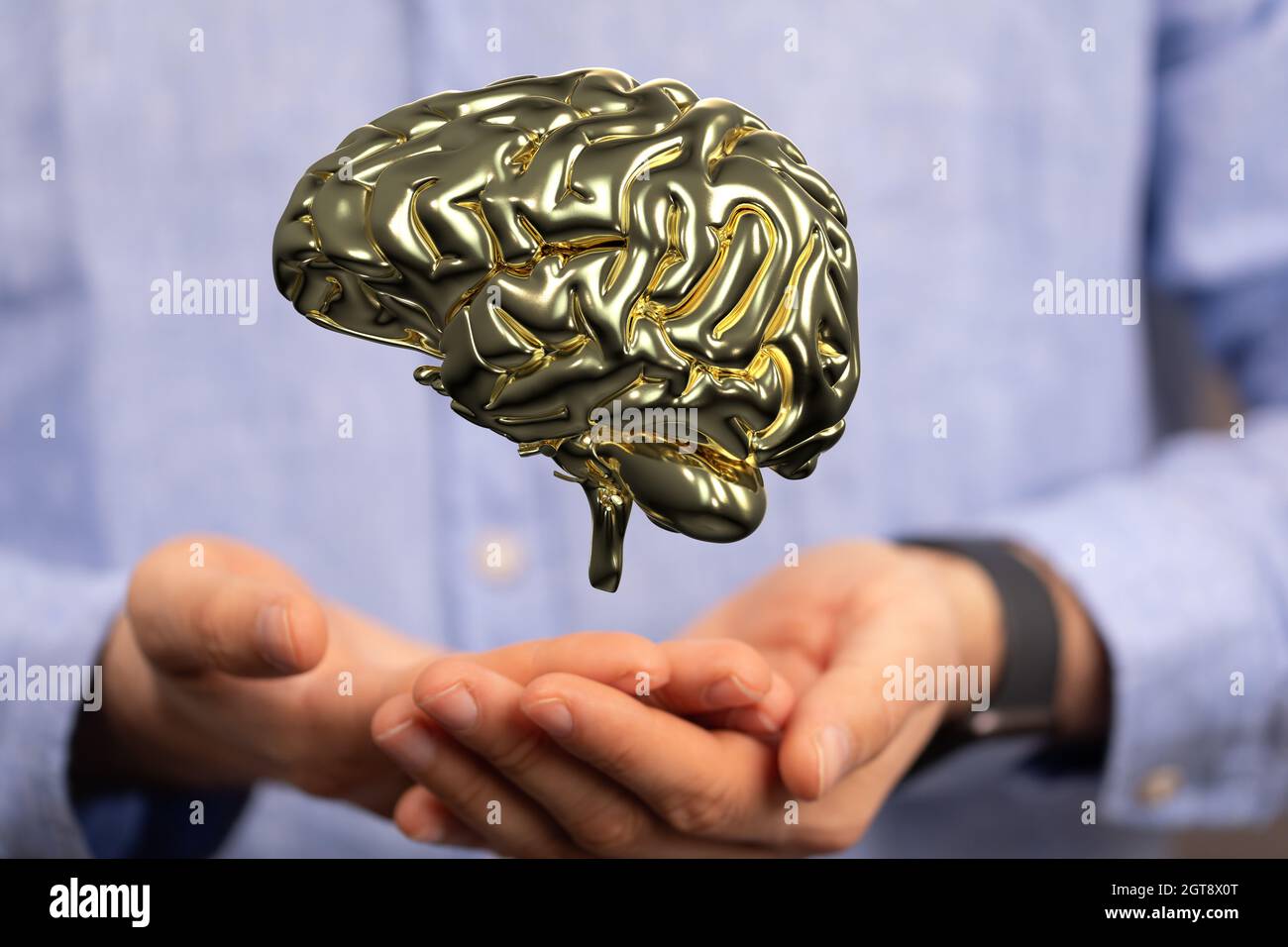 3D rendering of a digital brain floating over the human hands-brain ...