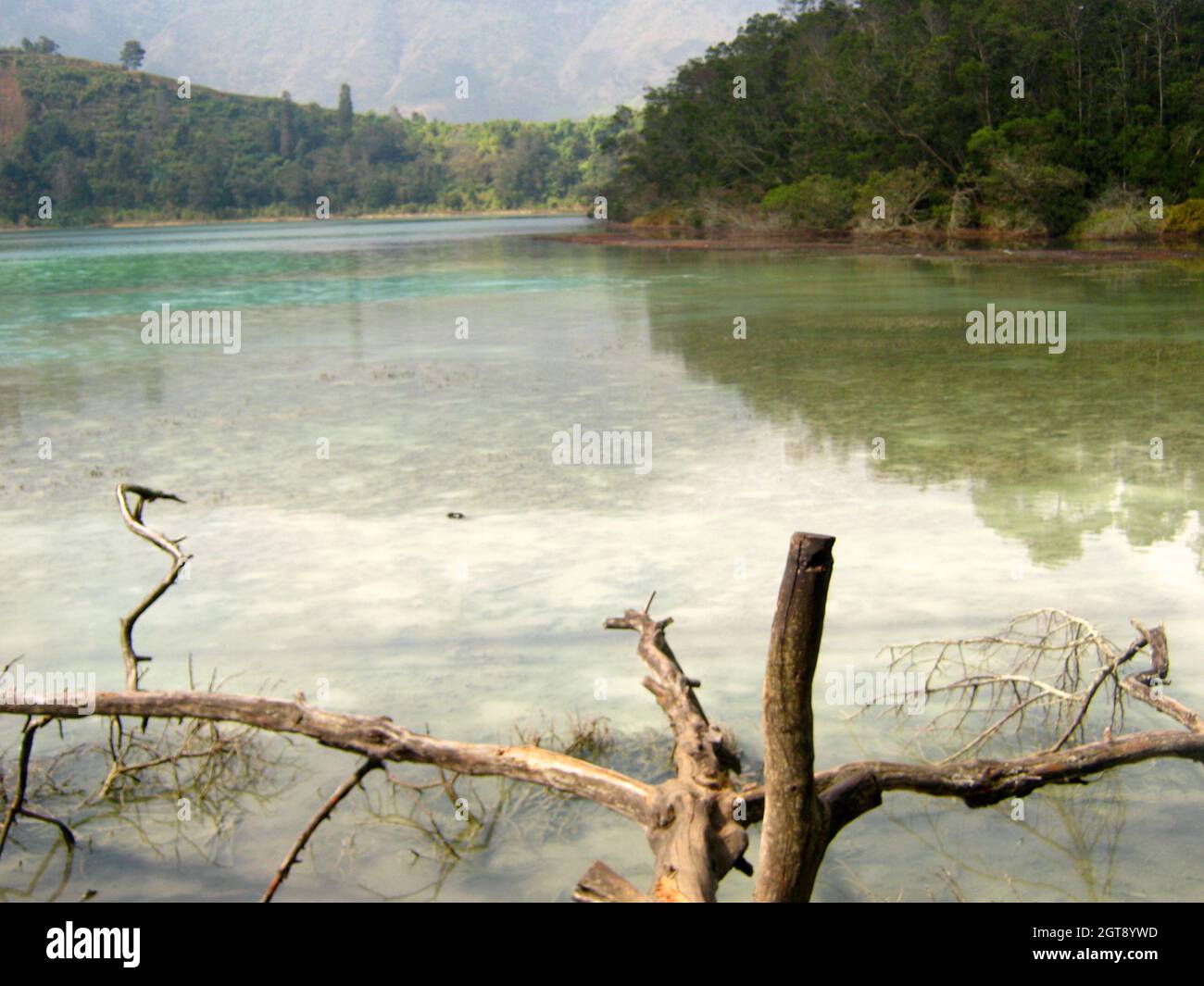 View of Color Lake in Dieng Plateau, Central Java, Indonesia Stock ...