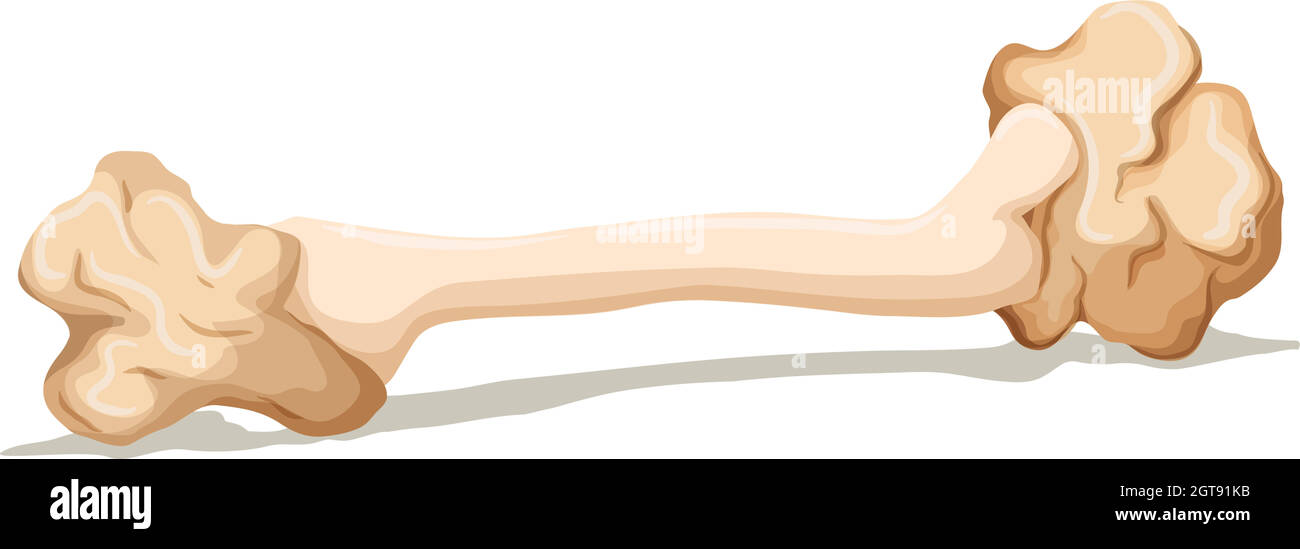 Rotten floor Cut Out Stock Images & Pictures - Alamy