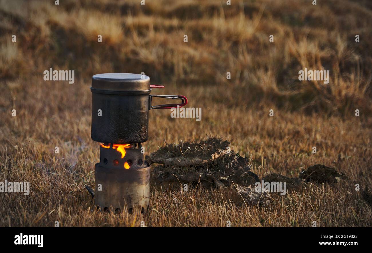 Cow dunk hi-res stock photography and images - Alamy