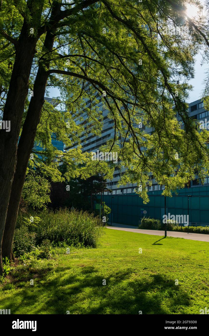 01 May 2019 Vienna, Austria - Donaupark at Danube river. A recreational ...