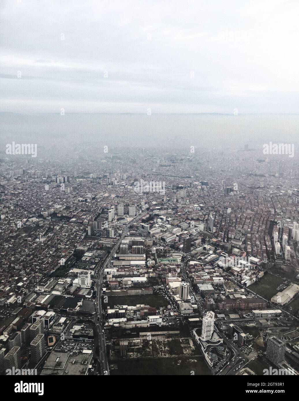 Istanbul birds hi-res stock photography and images - Alamy