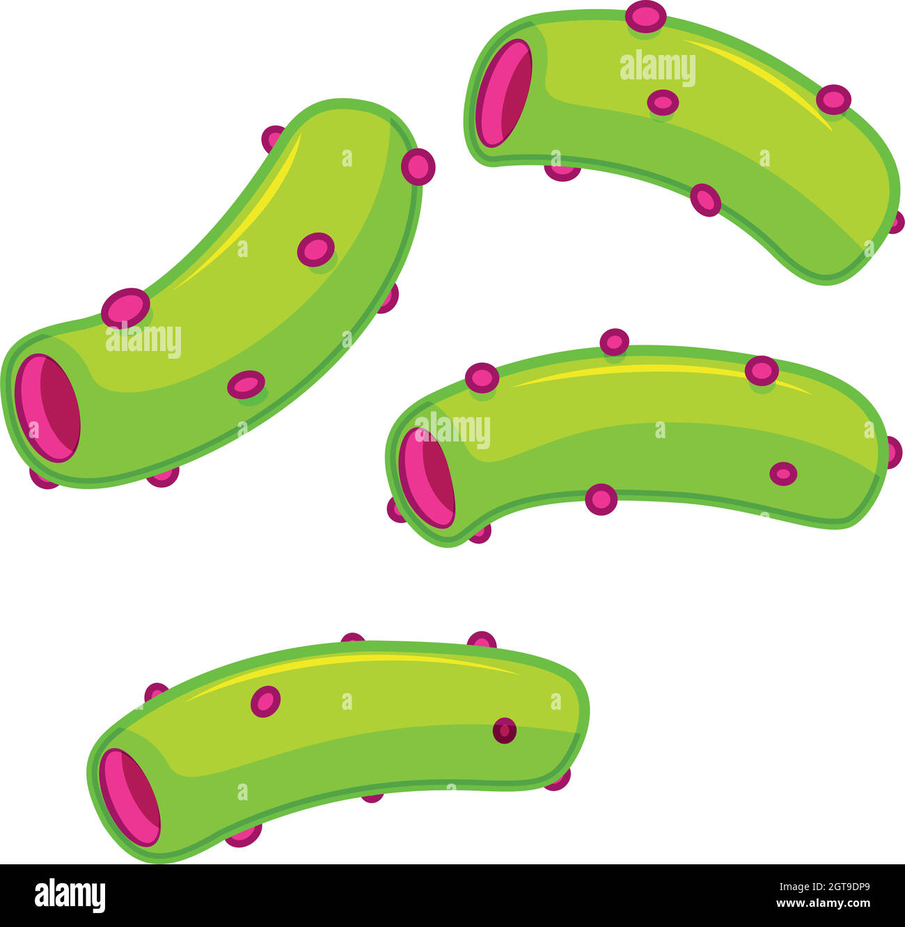 Green tube bacteria on white Stock Vector Image & Art - Alamy
