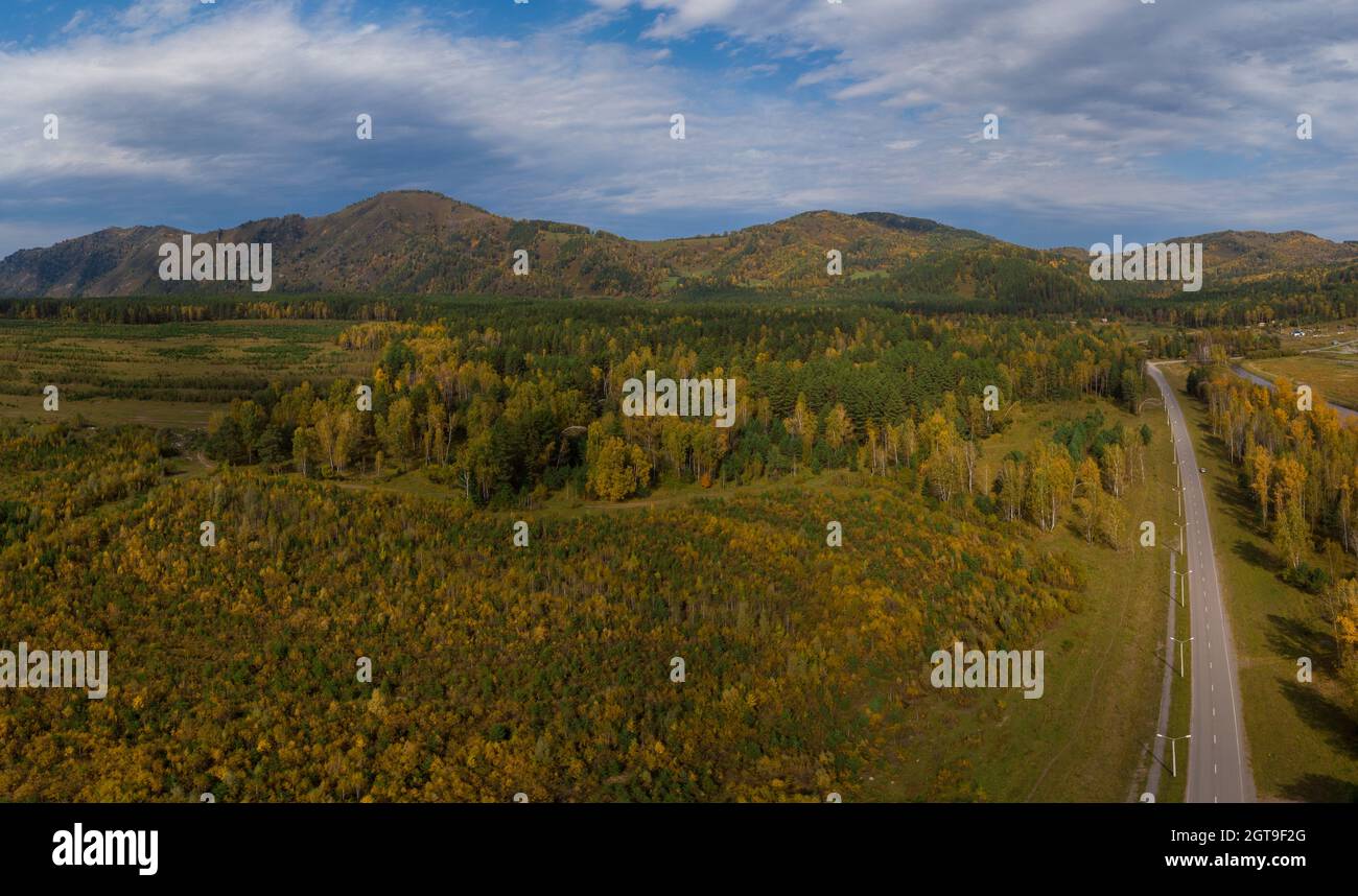 Aerial view of road in beautiful autumn Altai forest. Beautiful ...