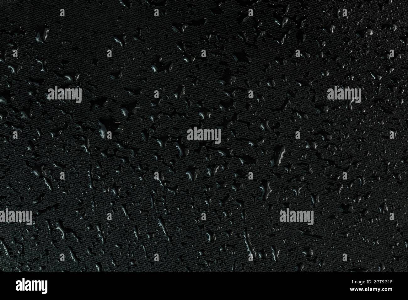 Plain Black Backdrop High Resolution Stock Photography and Images - Alamy