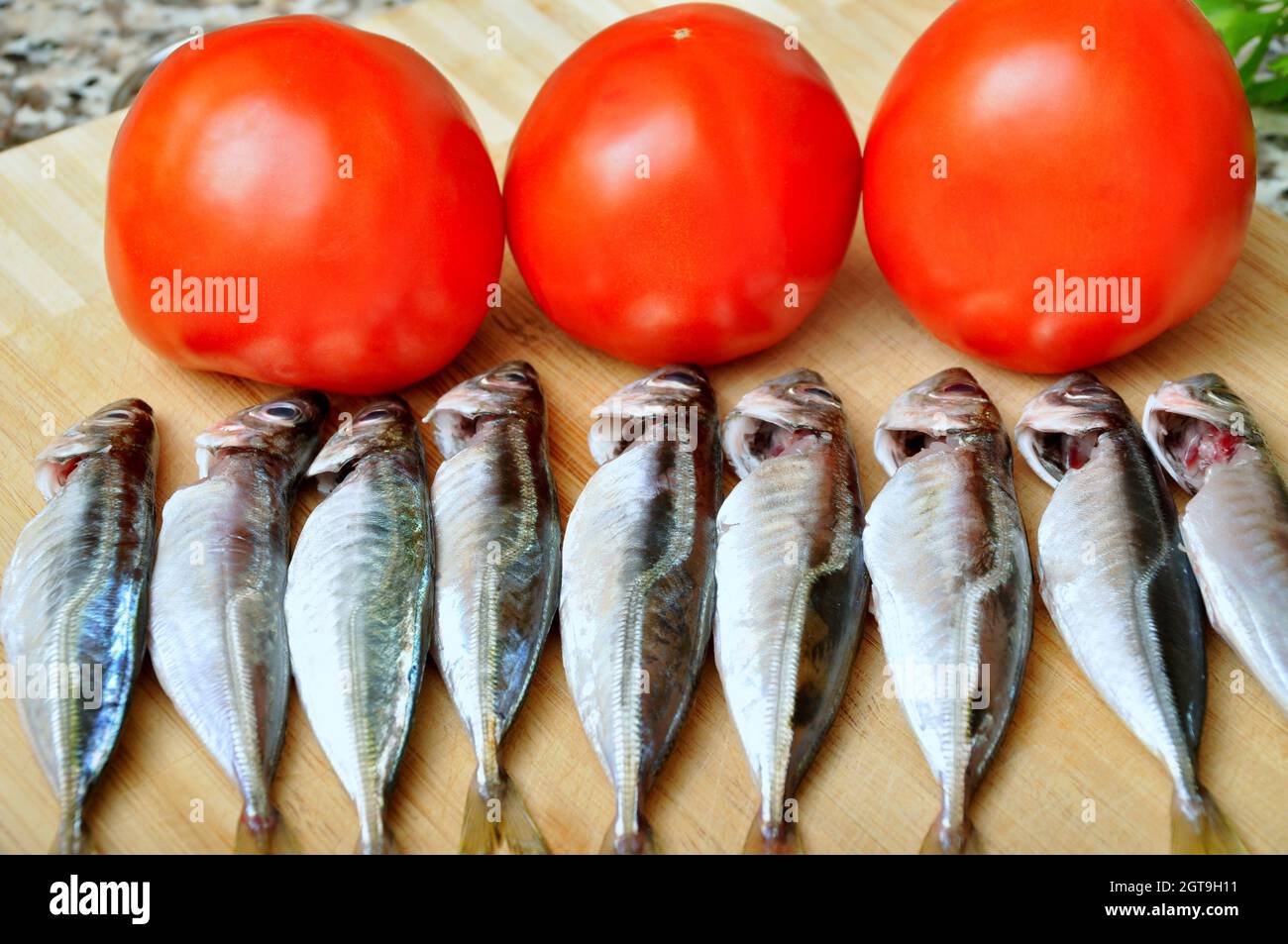 Cleaned and ready to cook fresh fish horse mackerel, istavrit fish ...