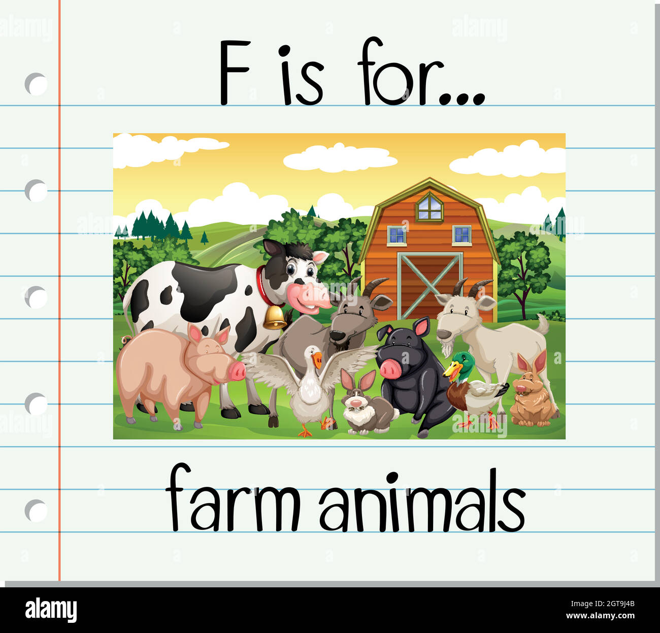 Flashcard letter F is for farm animals Stock Vector Image & Art - Alamy