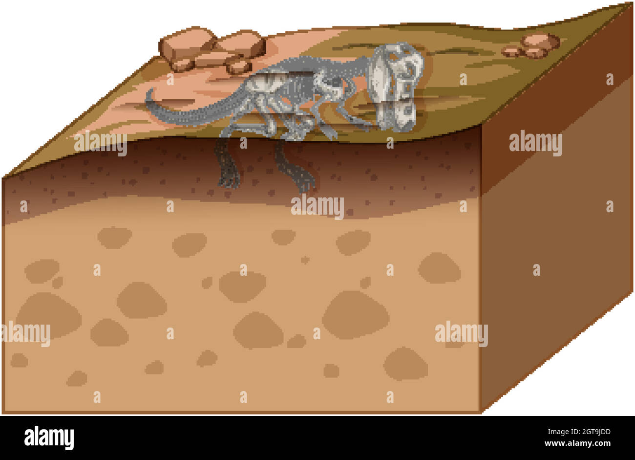 Soil layers with dinosaur fossil Stock Vector Image & Art - Alamy