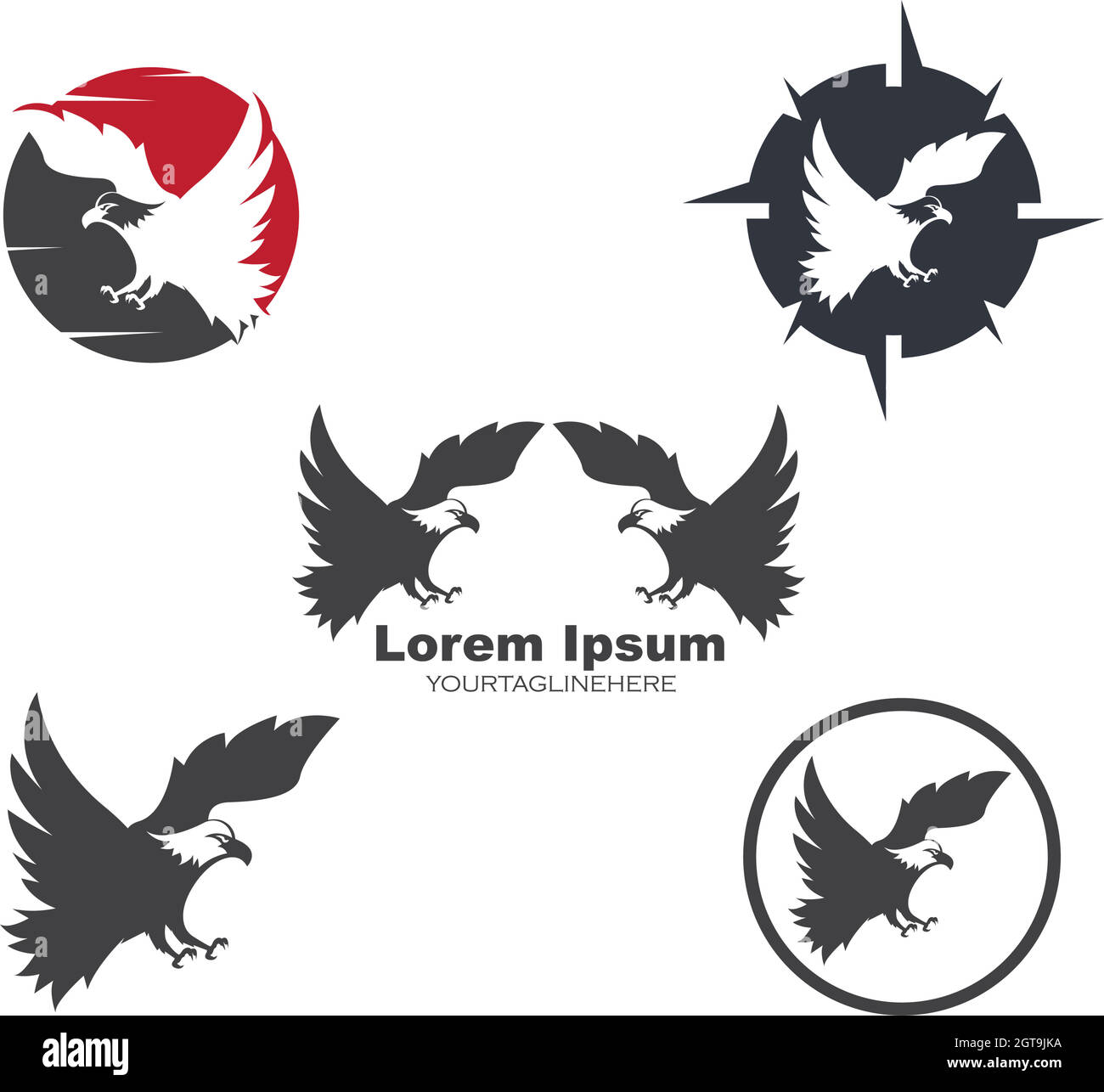 Falcon Eagle Bird Logo Template vector Stock Vector Image & Art - Alamy