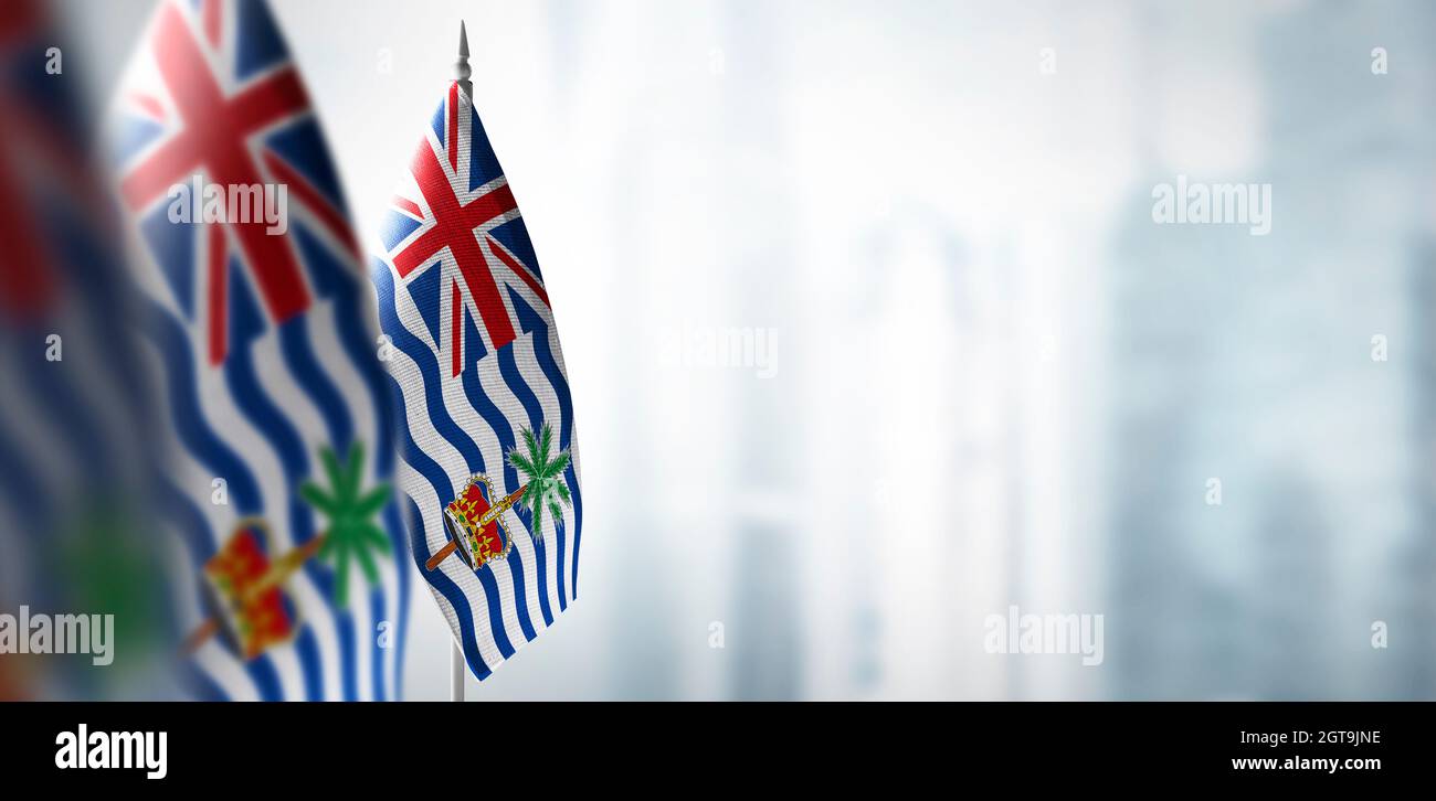 Small flags of British Indian Ocean Territory on a blurry background of ...