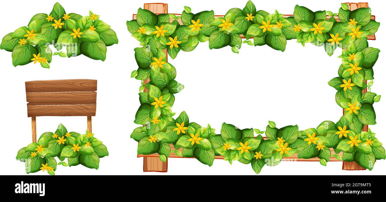 Tropical flowers design Stock Vector Images - Alamy