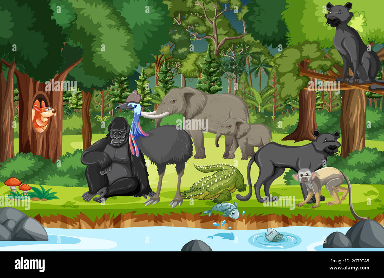 Rainforest scene with wild animals Stock Vector Image & Art - Alamy